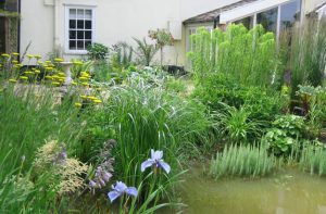 Ponds & Water Features - Roger Gladwell Landscape & Design