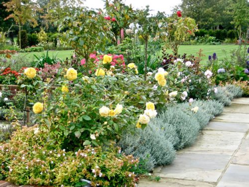 Soft Landscaping & Planting - Roger Gladwell Landscape & Design