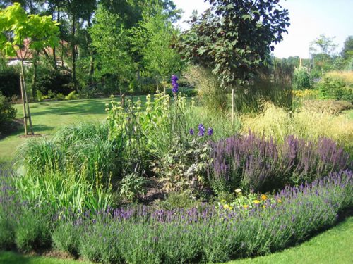 Soft Landscaping & Planting - Roger Gladwell Landscape & Design