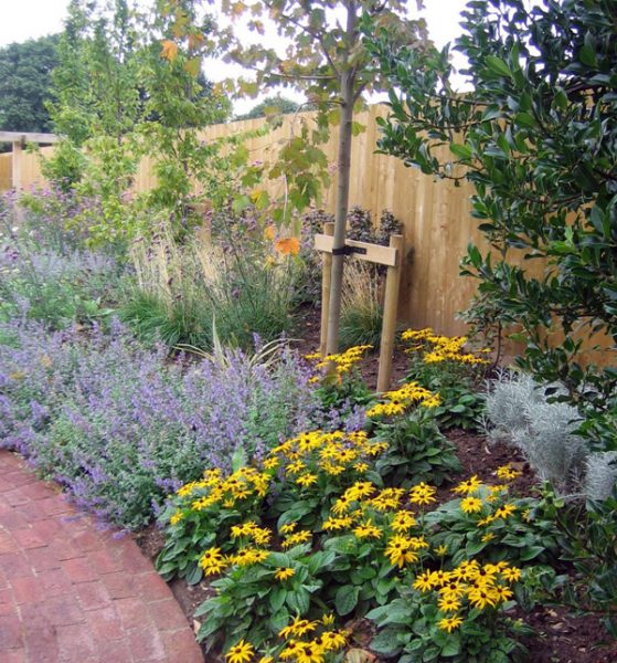 Soft Landscaping & Planting - Roger Gladwell Landscape & Design