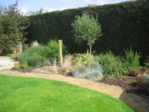 Soft Landscaping & Planting - Roger Gladwell Landscape & Design
