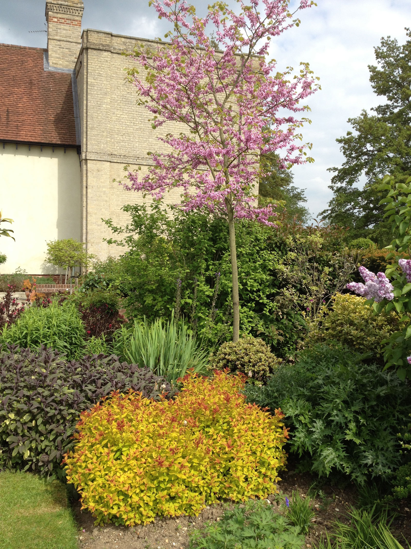 Soft Landscaping & Planting - Roger Gladwell Landscape & Design