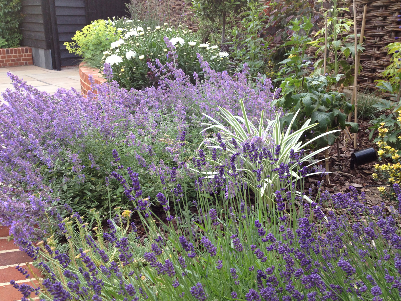 Soft Landscaping & Planting - Roger Gladwell Landscape & Design